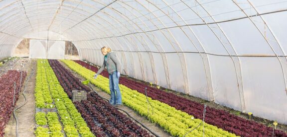 LPG for Farming | Flogas